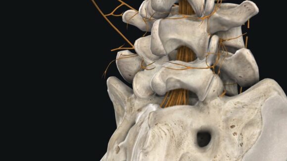 VR Educational Tool for Lumbar Thermal Radiofrequency Neurotomy Offers ... VR Educational Tool for Lumbar Thermal Radiofrequency Neurotomy Offers ...